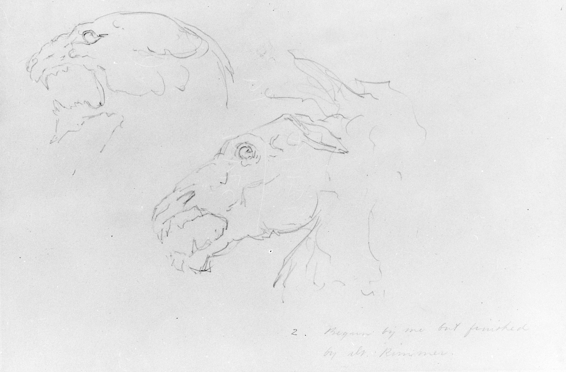 William Rimmer | Sketches of Two Animal Skulls | American | The ...