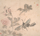 Huang Binhong | Insects and Flowers | China | The Metropolitan Museum ...