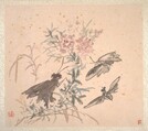 Huang Binhong | Insects and Flowers | China | The Metropolitan Museum ...
