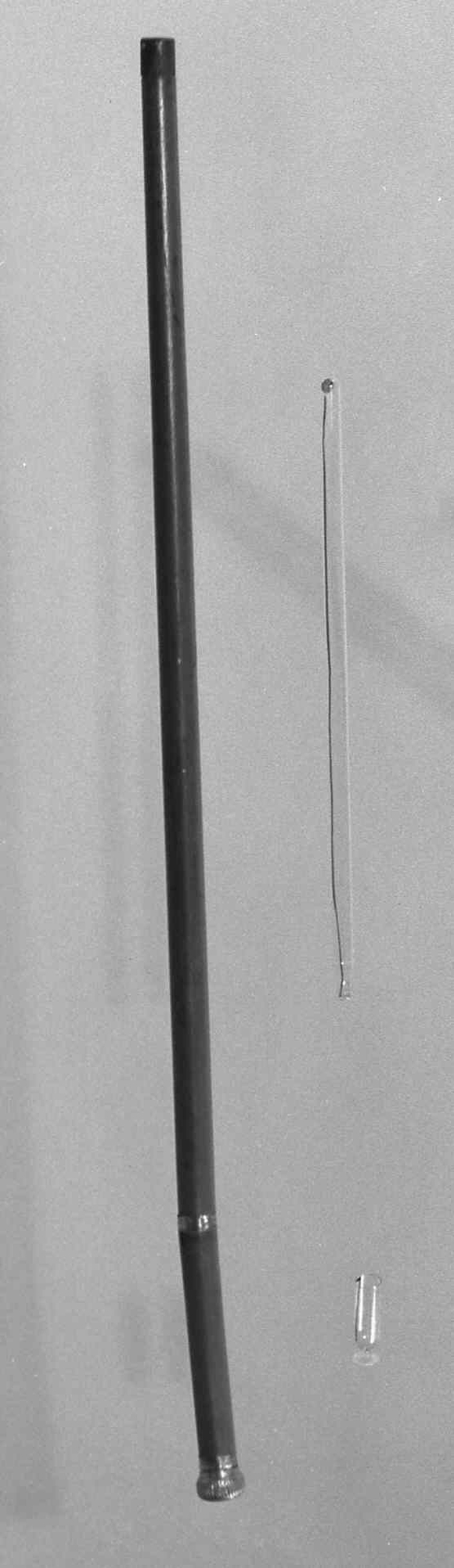 Cane - American - The Metropolitan Museum of Art