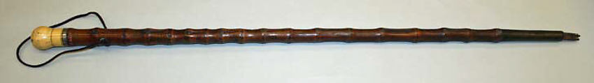 Cane | American or European | The Metropolitan Museum of Art