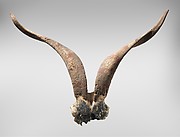 Bucranium | Second Intermediate Period | The Met