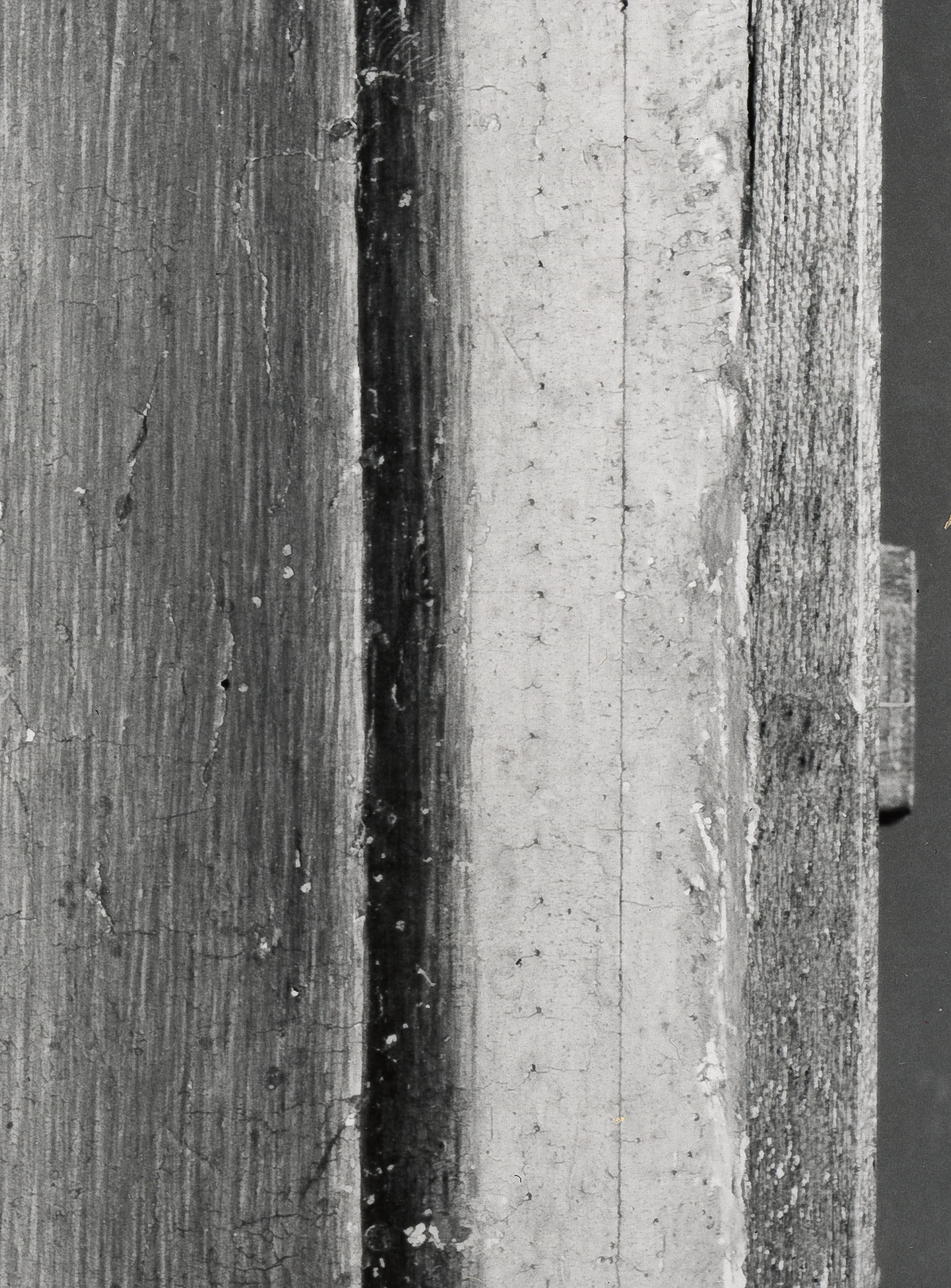 Fra Carnevale (Bartolomeo di Giovanni Corradini) | The Birth of the ...