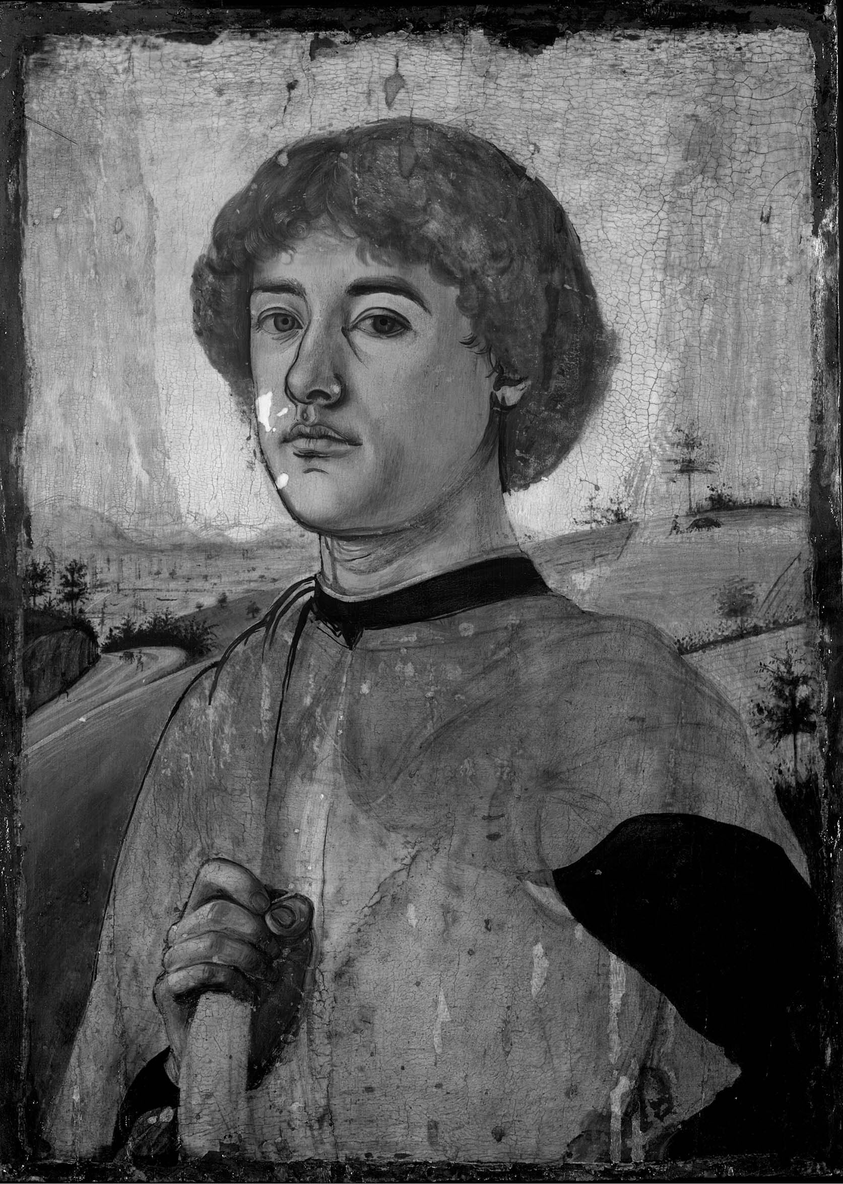 Biagio d'Antonio - Portrait of a Young Man - The Metropolitan Museum of Art