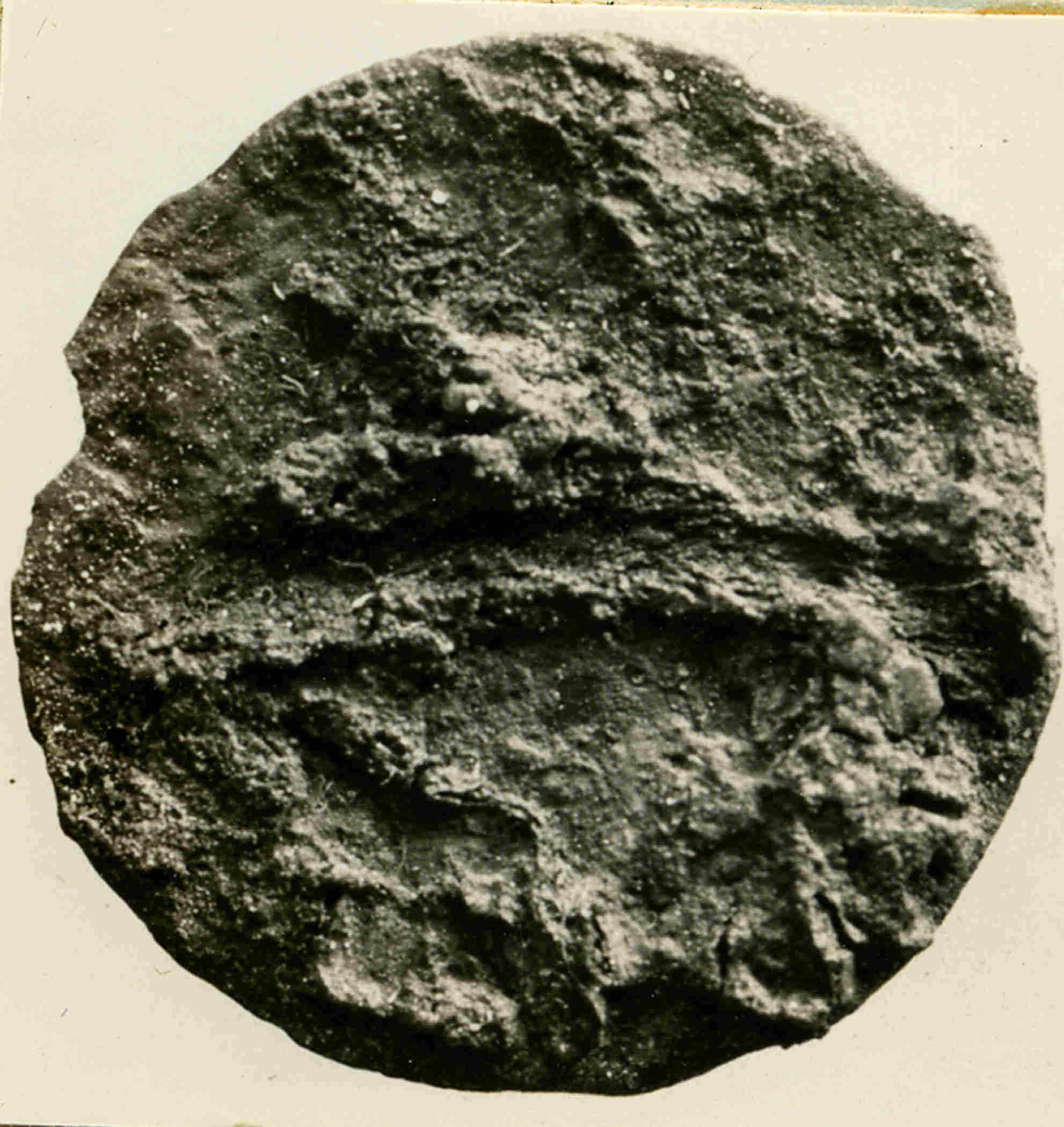 Coin | The Metropolitan Museum of Art