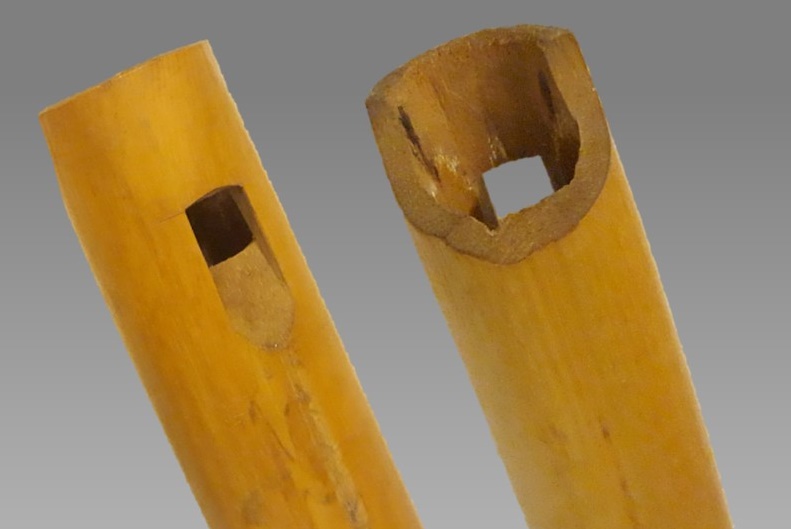 Whistle | Native American (Brazilian) | The Metropolitan Museum of Art