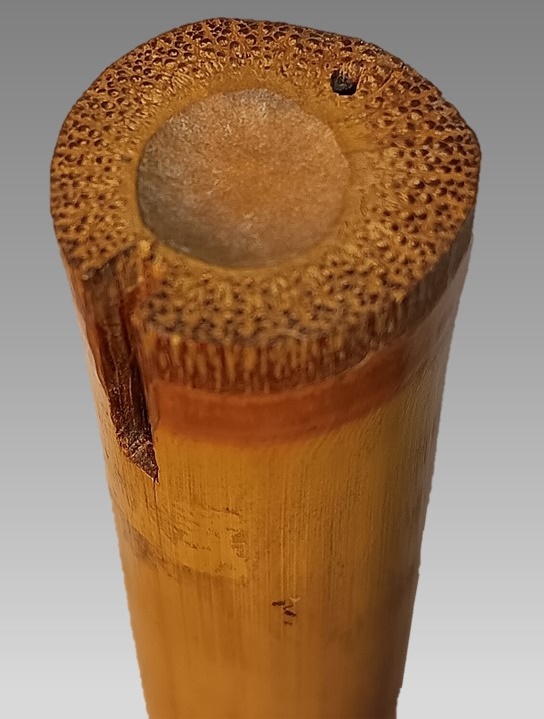 Turali or Silingut (nose flute) - Bornean (poss. Dayak) - The ...