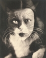 Wanda Wulz | Io + gatto | The Metropolitan Museum of Art